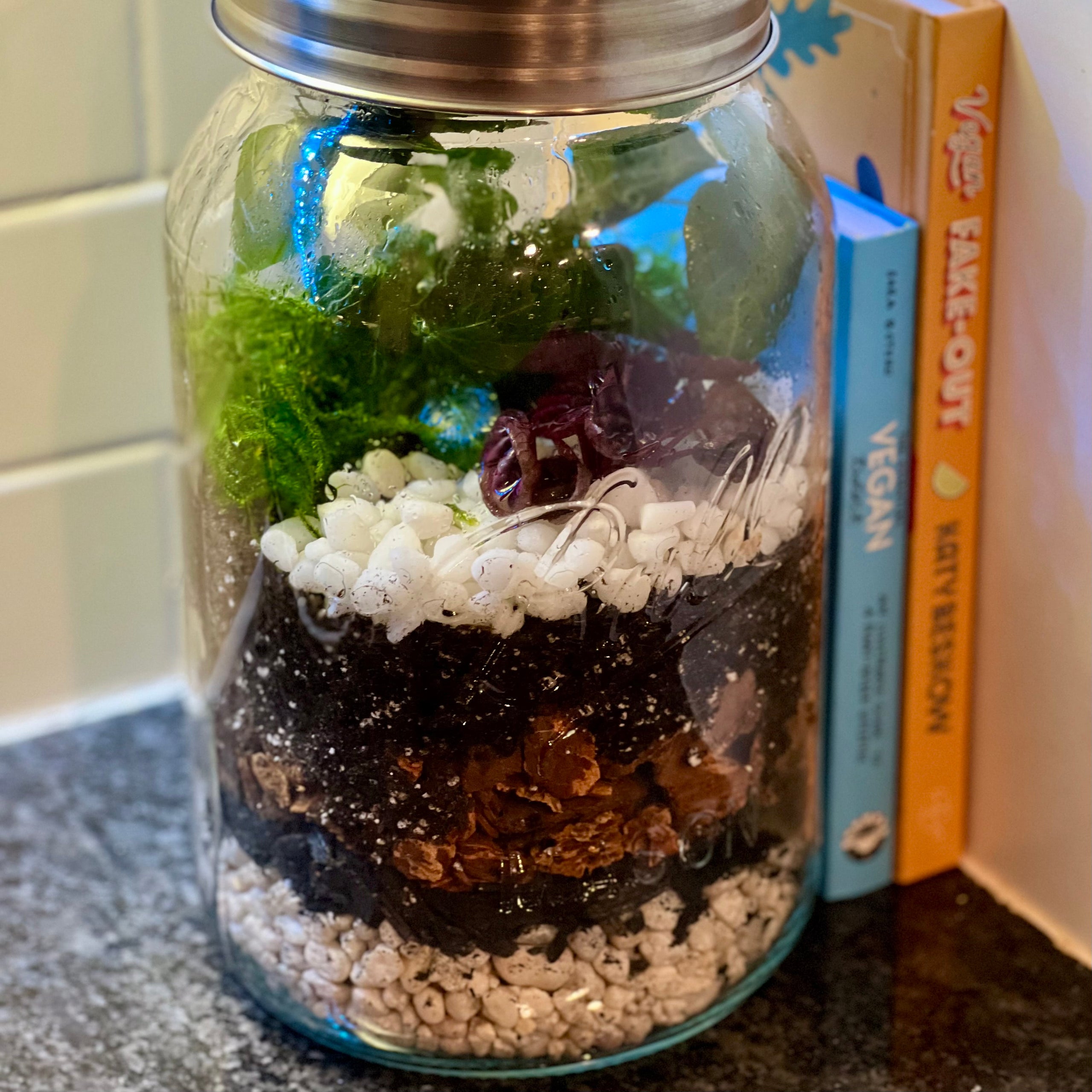 Mason Jar Terrarium